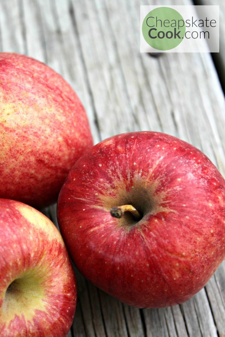 Apple & Oat Mix-in-the-Pan Bars • Cheapskate Cook
