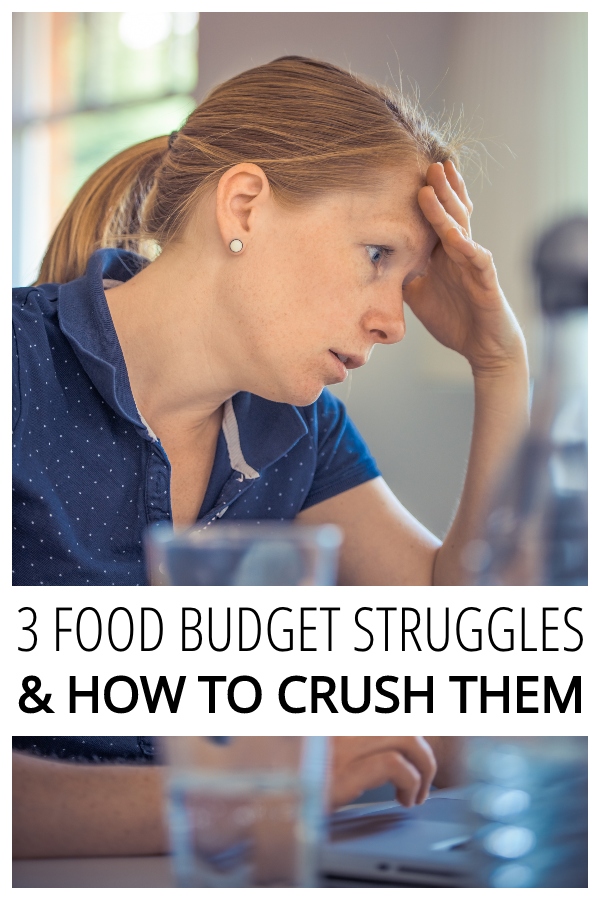 How to Make a Food Budget That Works for You • Cheapskate Cook
