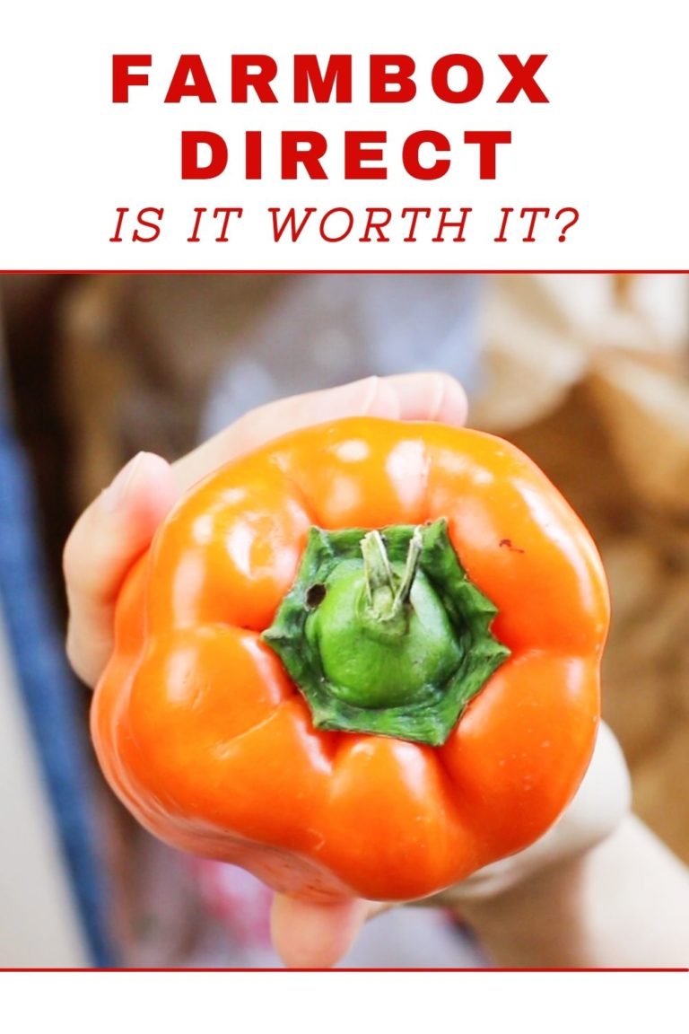 I tried Farmbox Direct. Here's What Happened. • Cheapskate Cook